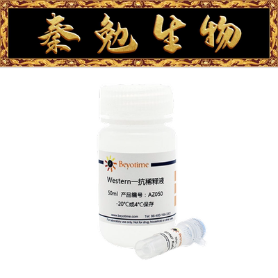 RUNX2RabbitMonoclonalAntibody