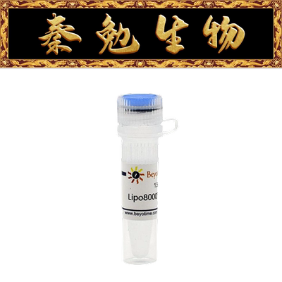 碧云天Lipo8000™转染试剂C0533