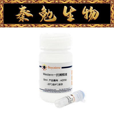 OPA1RabbitPolyclonalAntibody