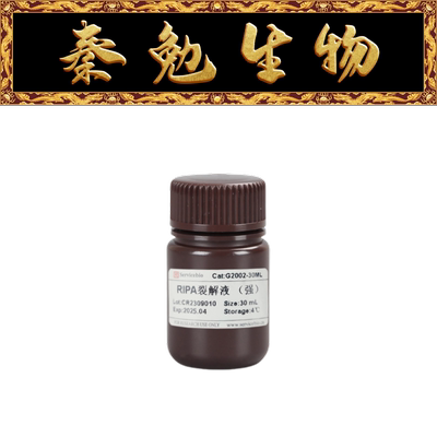 赛维尔RIPA裂解液G2002-30ML