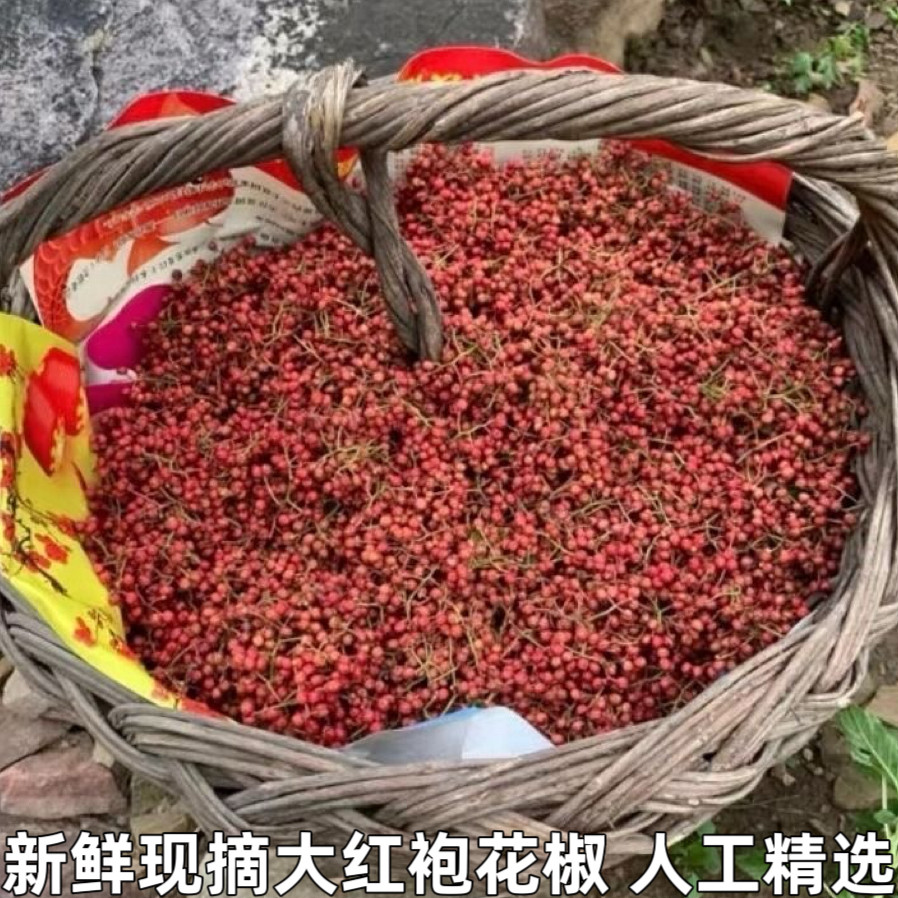 新鲜花椒湖北宜昌红花椒现摘大红袍生鲜花椒特麻1斤湿花椒包邮