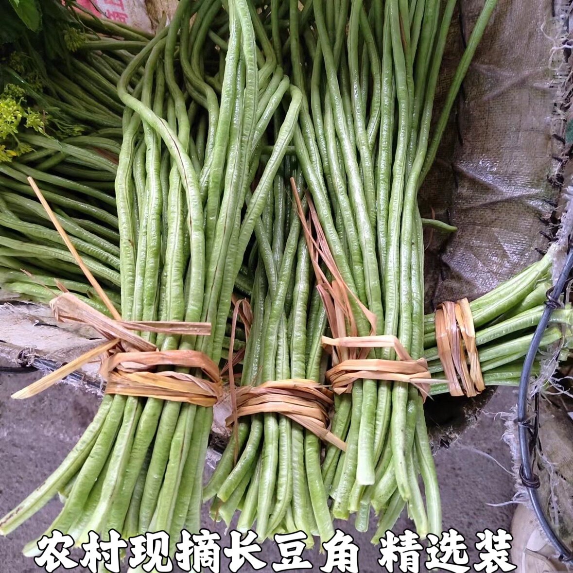 新鲜豇豆长豆角嫩姜豆角豆挂豆角长豇豆酸豆角原材料农家自种包邮