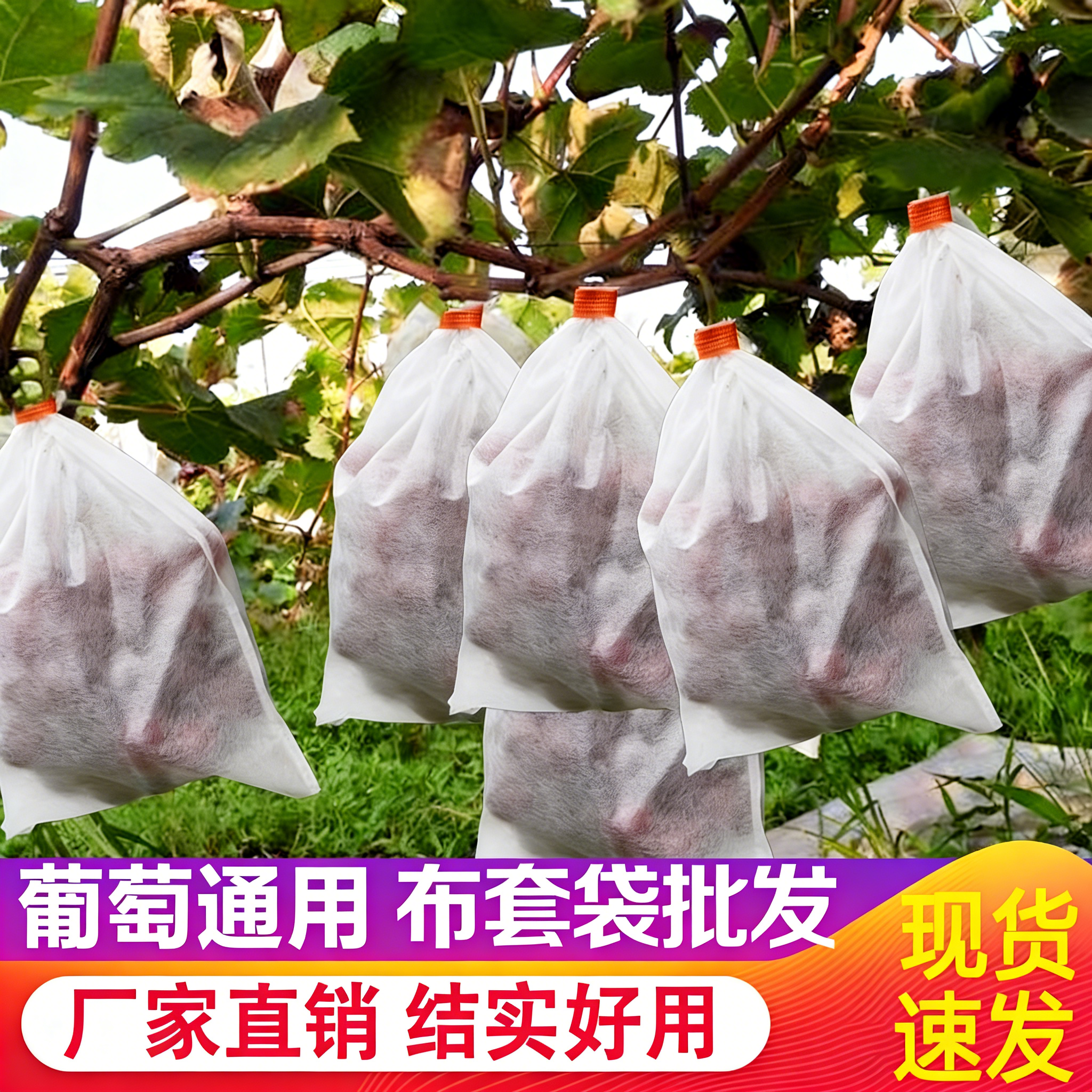 无纺布葡萄套袋水果新型防虫防雨桃子梨子羊角蜜防鸟果袋套袋