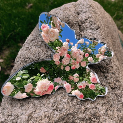 网红蝴蝶镜便携式花妆镜