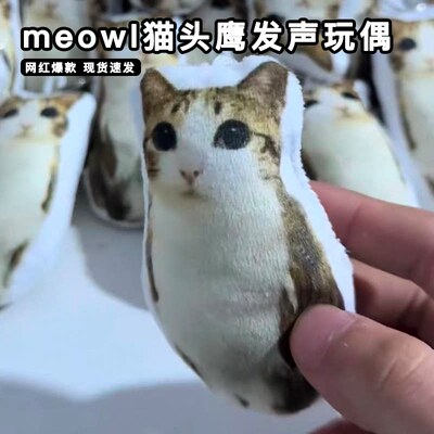 meowl猫头鹰玩偶语音抽象
