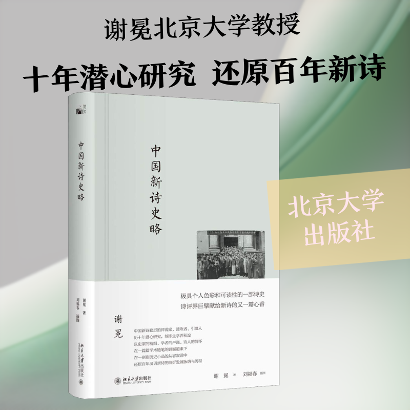 中国新诗史略 谢冕 著 刘福春 绘 文学理论/文学评论与研究文学 新华书店正版图书籍 北京大学出版社