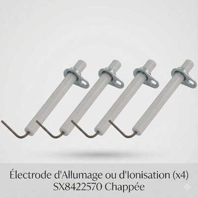 lectrode dAllumage ou dIonisation x4 SX8422570 Chappe