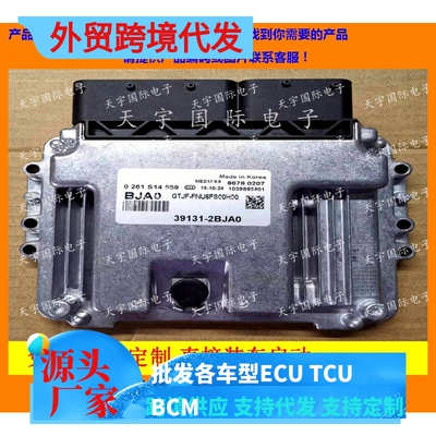 现代起亚39131-2BJA00261S14559