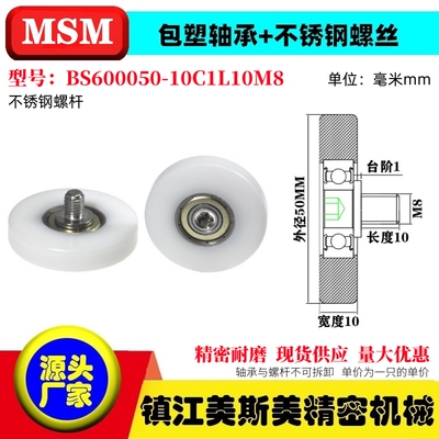 MSM包塑轴承BS600050-10C1L10M8