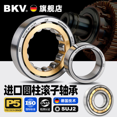 德国BKV进口圆柱滚子轴承NUP2204 NUP2205 NUP2206 NUP2207EM