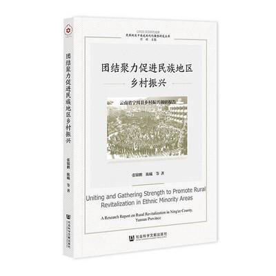 团结聚力促进民族地区乡村振兴:云南省宁洱县乡村振兴调研报告:a research report on rural revitalization in N张锦鹏  经济书籍
