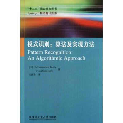 正版书籍 模式识别:算法及实现方法:an algorithmic approach哈尔滨工业大学出版社自然科学模式识别 人天书店畅销书排行榜