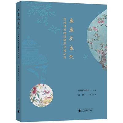 正版书籍 盈盈花盛处:贵州省博物馆藏彩瓷精品集贵州省博物馆广西师范大学出版社历史  人天书店畅销书排行榜