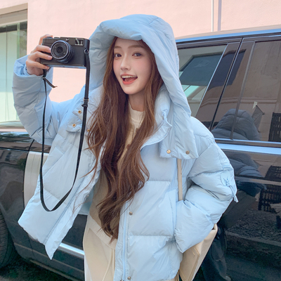 爆款！现货！2025新款白鸭绒羽绒服213A-2526  P240K328