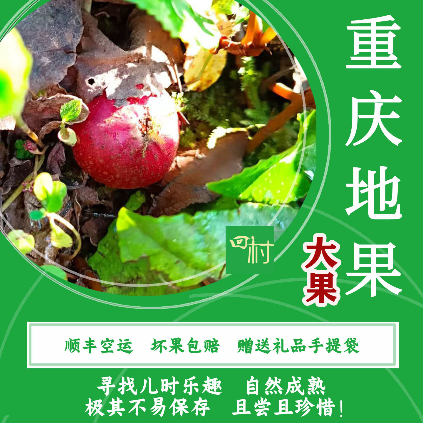 重庆大果野生地果六月六野地瓜地石榴绿色地瓜儿新鲜野果子地枇杷