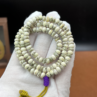 牛货同树同枝无脱脂无水煮120颗