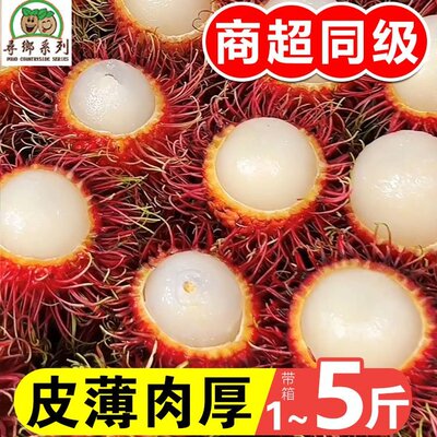 海南红毛丹荔枝新鲜当季