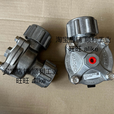 GOYEN脉冲阀电磁阀RCAC25DD4012 4002 4022澳大利亚高原装