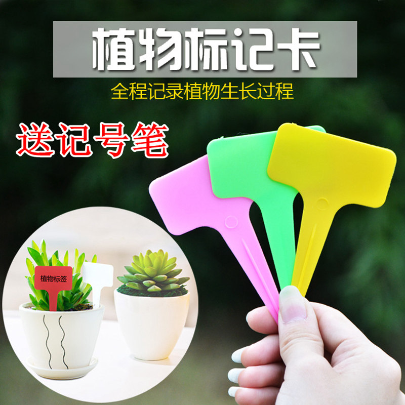 植物标签牌园艺塑料花卉防水记号卡盆栽种植分类插地牌T型标记卡