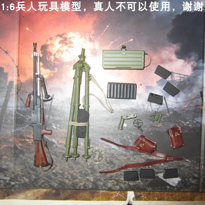 兵人1/6DIDD80191ZB30