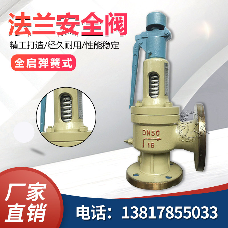 天正安全阀A48Y-16C A48Y-25C法兰全启弹簧式安全阀泄压阀排气阀