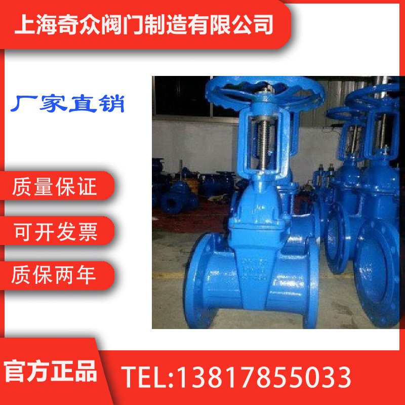 Z41T-10Q防护铜芯闸阀Z45T