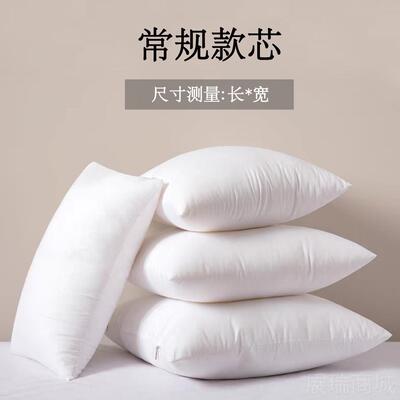 高档45 505560 70超大沙 发抱枕芯内 胆羽绒长靠垫棉芯婚庆芯定做