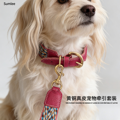 真皮高级感黄铜扣狗狗牵引套装