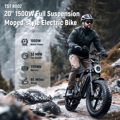 ebike电动自行车4.0轮胎欧洲20寸胖胎沙滩雪地越野锂电助力车