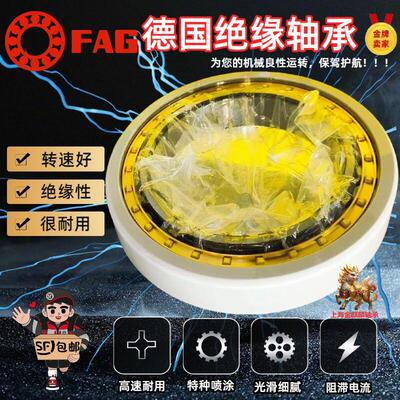 德国进口绝缘轴承NU/J216 217 218 219 220 221 222 224J20AC3