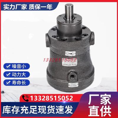 新款邵阳维克SY-10YCY 25MCY 32 40SCY 63 80 160 250PCY14-1包邮