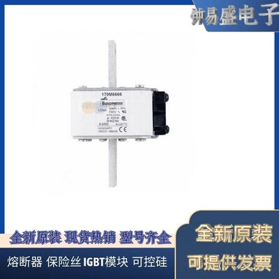 美国BUSSMANN熔断器170M6924 170M6925 170M6926 170M6927全新