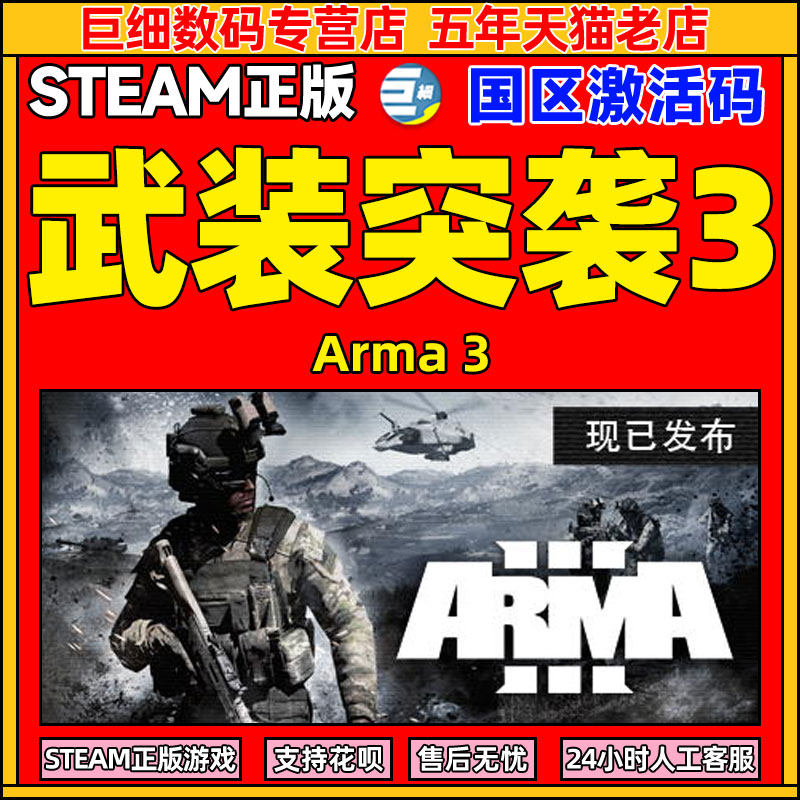 武装突袭3 Arma 3 steam中文PC正版游戏国区激活码 cdkey_虎窝淘