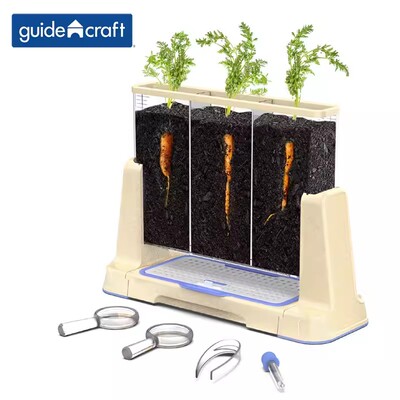 Guidecraft三格植物根部生长探索架展示架透明植物种植器儿童玩具