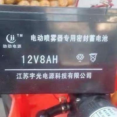 HUAYANG12v8ah蓄电池6-FMD-8.0UPS EPS 应急设备 电动喷雾器 电瓶