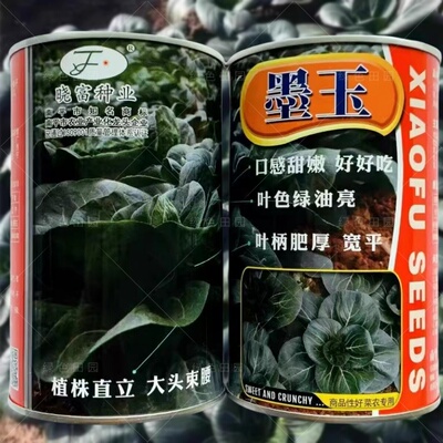 高品质黑叶矮脚苏州青四季播青菜