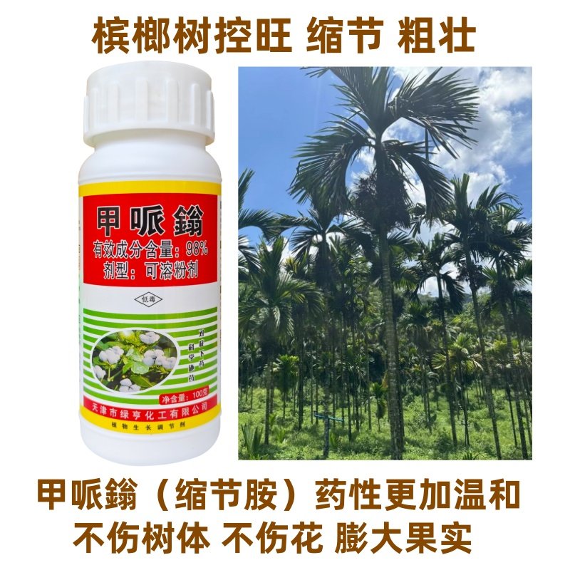 槟榔树缩节胺茎秆粗壮缩短节长膨大果实98%甲哌鎓调节生长调节剂