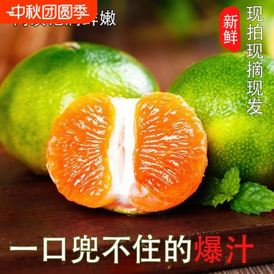 寻乌蜜桔当季现摘顺丰发货
