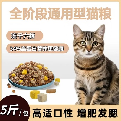 猫粮成猫幼猫通用型营养10斤实惠装冻干猫主粮全价华奥狸花猫鸡肉