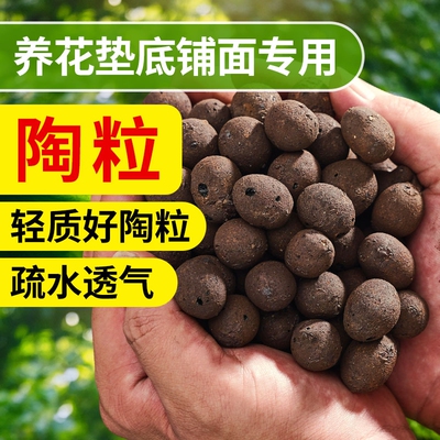 陶粒垫底养花专用多肉盆栽