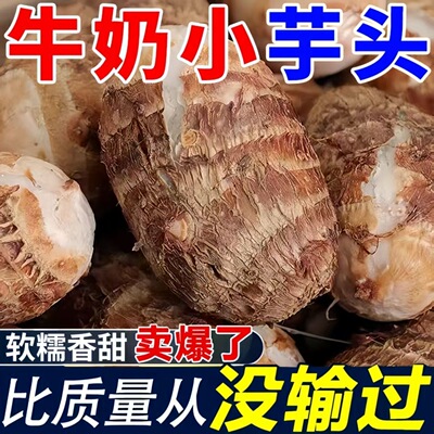 正宗云南当季新鲜牛奶毛芋头软糯