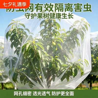 果园果树防虫透气透光网罩加厚网