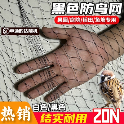 涤纶防护网高强涤纶合股防鸟网果园果树大棚防鸟天网户外鱼塘养殖