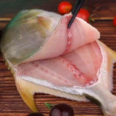 新鲜冷冻金鲳鱼生鲜金昌鱼深海鱼鲳鱼海鲜大鲳鱼海鲜水产批发生鲜