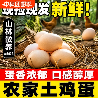 土鸡蛋新鲜鲜鸡蛋农家散养草鸡蛋笨鸡蛋农村柴鸡蛋无抗生鸡蛋