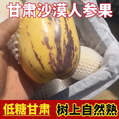 甘肃民勤人参果沙漠人参果长生果冬季时令新鲜水果孕妇小孩黄肉果