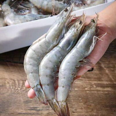 鲜活速冻大虾冷冻白虾对虾3040规格口感鲜甜速冻白虾1.5kg*2盒