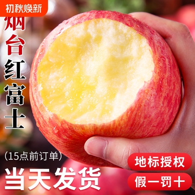 烟台红富士苹果10应当季斤新鲜水果山东栖霞冰糖心丑平果年货节