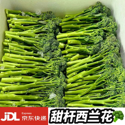 新鲜甜杆西蓝苔西蓝花笋苔芦笋西兰花苔菜苔蔬菜花菜苔