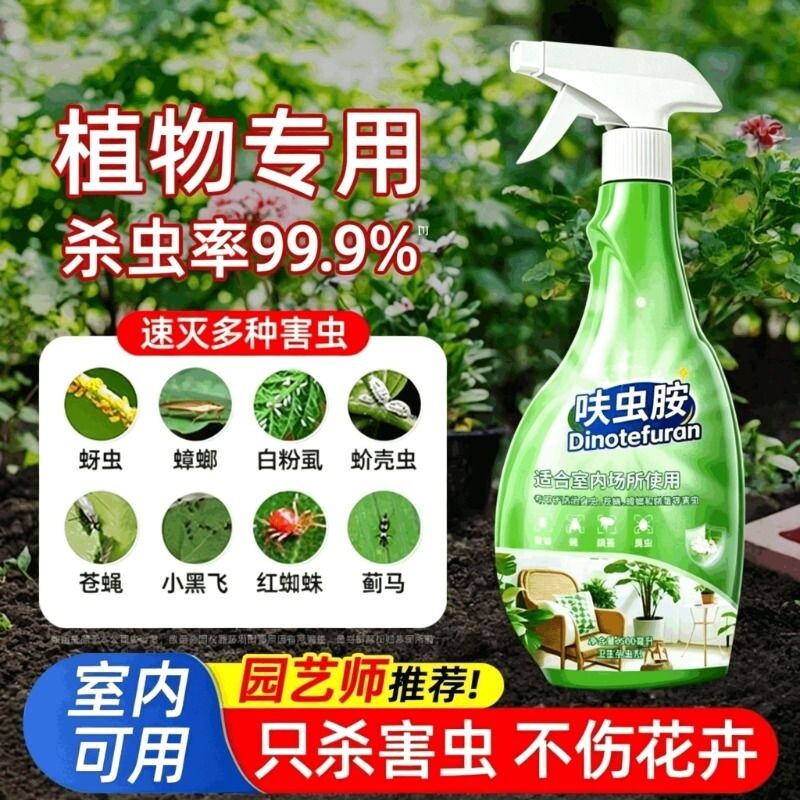 植物花卉室内蚜虫红蜘蛛杀虫剂卫生农药专用月季花草病虫害小黑飞